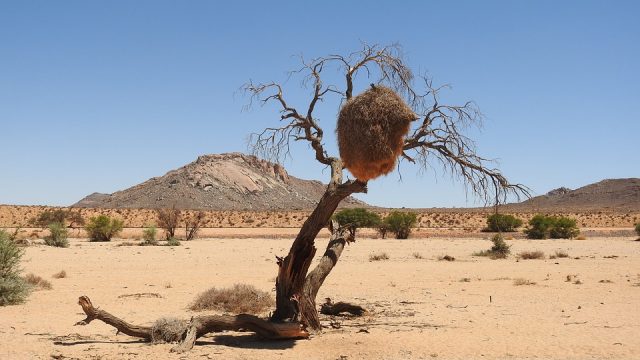 10 Best Places To Visit In Botswana - The Adventurous Feet