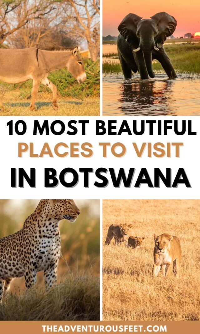 10 Best Places To Visit In Botswana - The Adventurous Feet