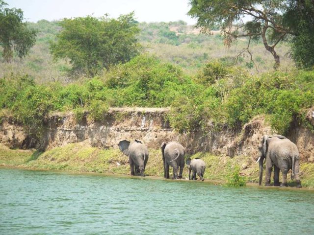 The 15 Top Tourist Attractions In Uganda You Need To Visit