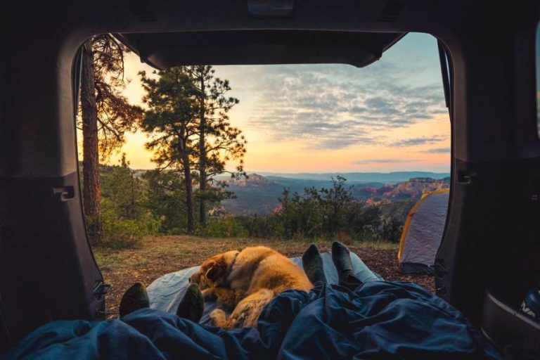 21 Biggest Camping Mistakes To Avoid As A First-time Camper