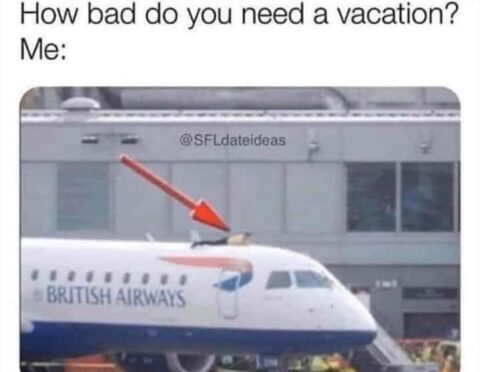 51 Funny Travel Memes That Will Crack Your Ribs - The Adventurous Feet