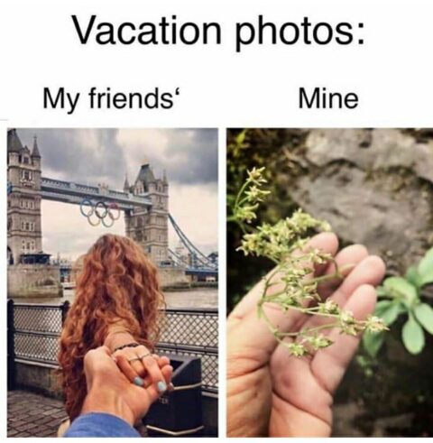 51 Funny Travel Memes That Will Crack Your Ribs - The Adventurous Feet