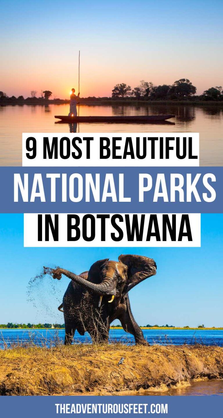 9 Best National Parks In Botswana To Visit For An Incredible Safari