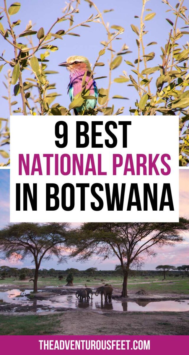 9 Best National Parks In Botswana To Visit For An Incredible Safari