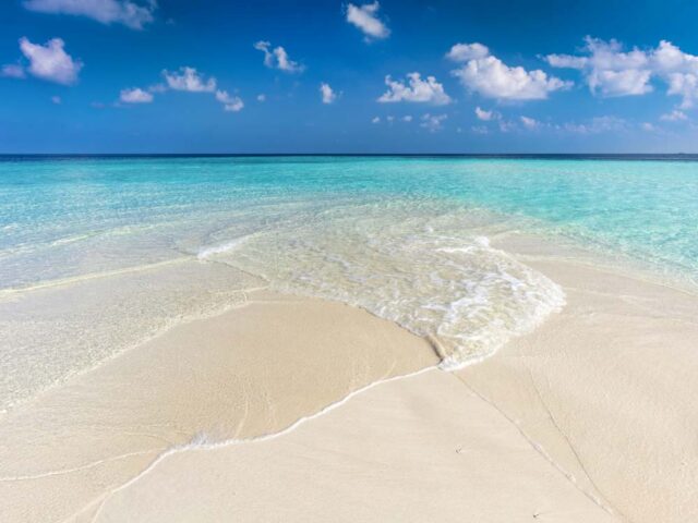 24 Best Gifts For Ocean Lovers That Will Transport Them To The Shores ...