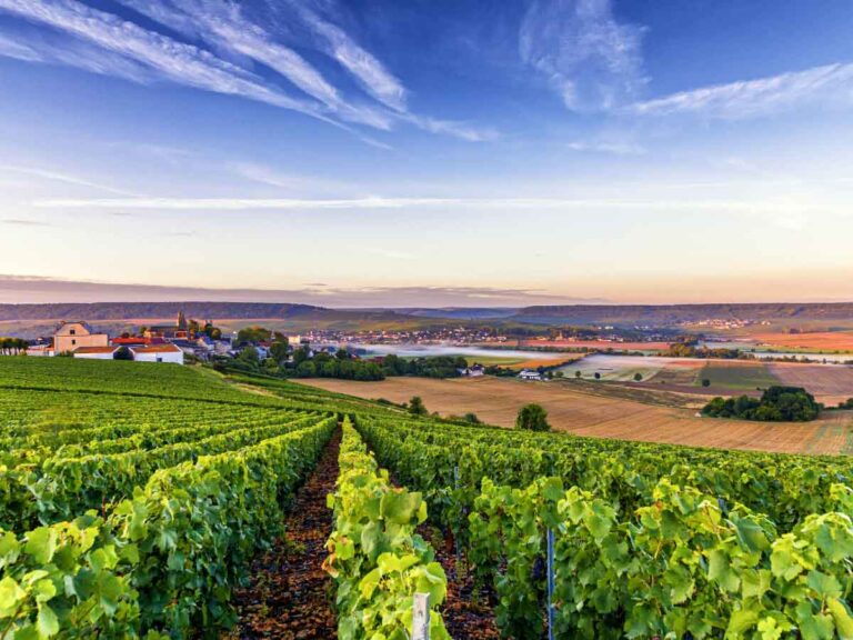 17 Best Places To Visit In Spring In France - The Adventurous Feet